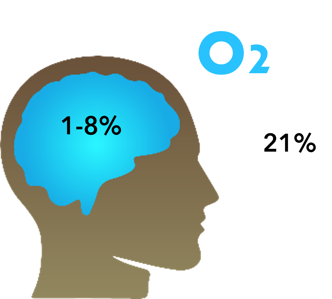 Article: Physiological Oxygen for Neuronal Cell Culture – Embrient , Inc.